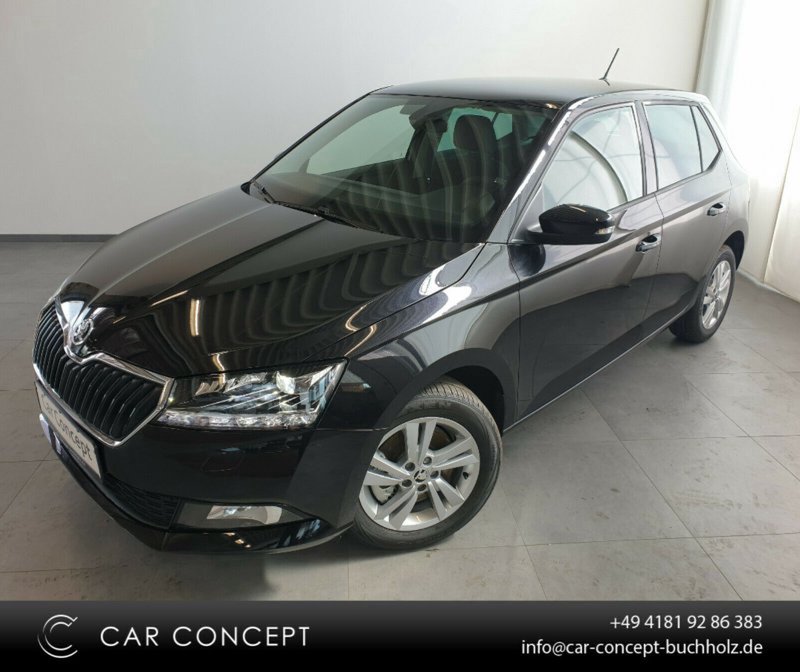 Skoda Fabia Tageszulassung